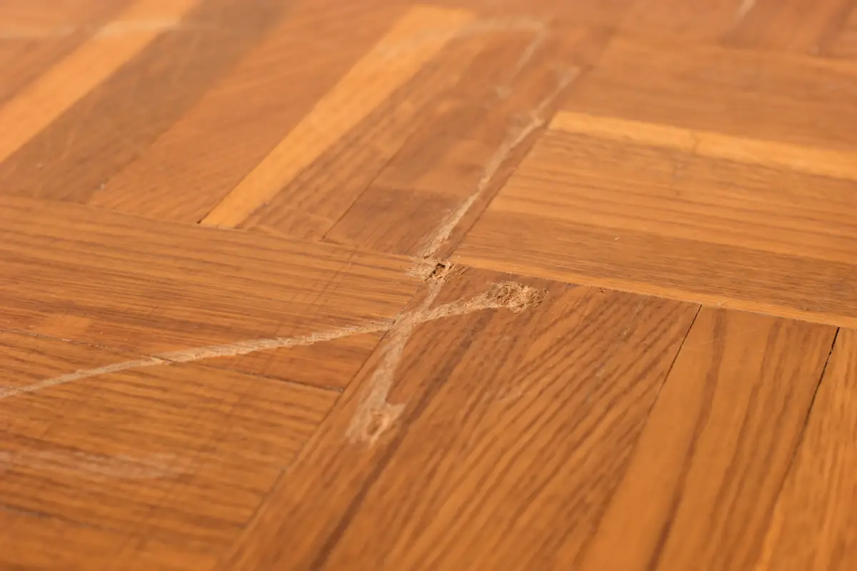 Kratzer Im Parkett Entfernen - Mit Diesen Tipps Klappt Es